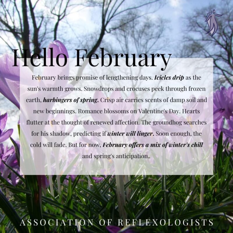 Hello February 🪻🩷💜💙🩵💛💚🧡🤎 - Bliss Therapies Dereham